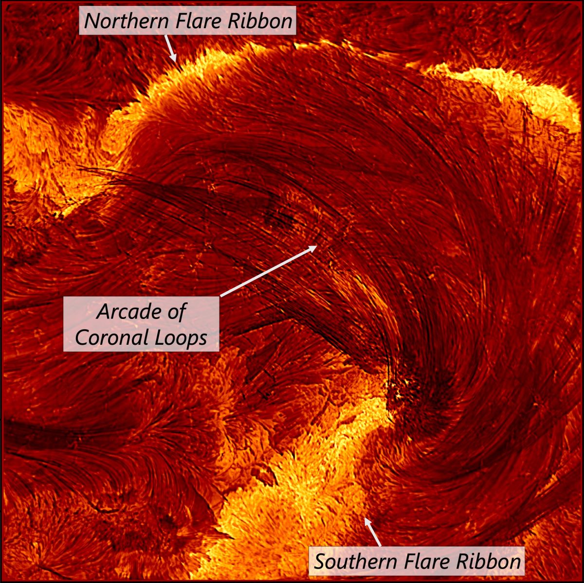 The Sun’s Hidden Threads Revealed in Stunning Solar Flare Images