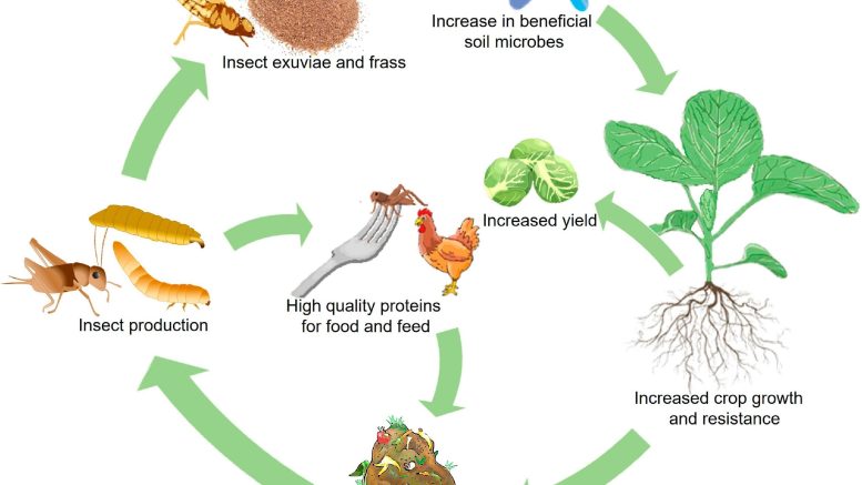 Scientists Have Developed a Wearable Ring That Repels Insects