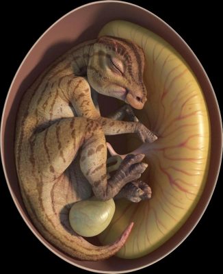 From Zombie-Ant Fungi to Hadrosauroid Embryos: Stunning Winners of BMC ...