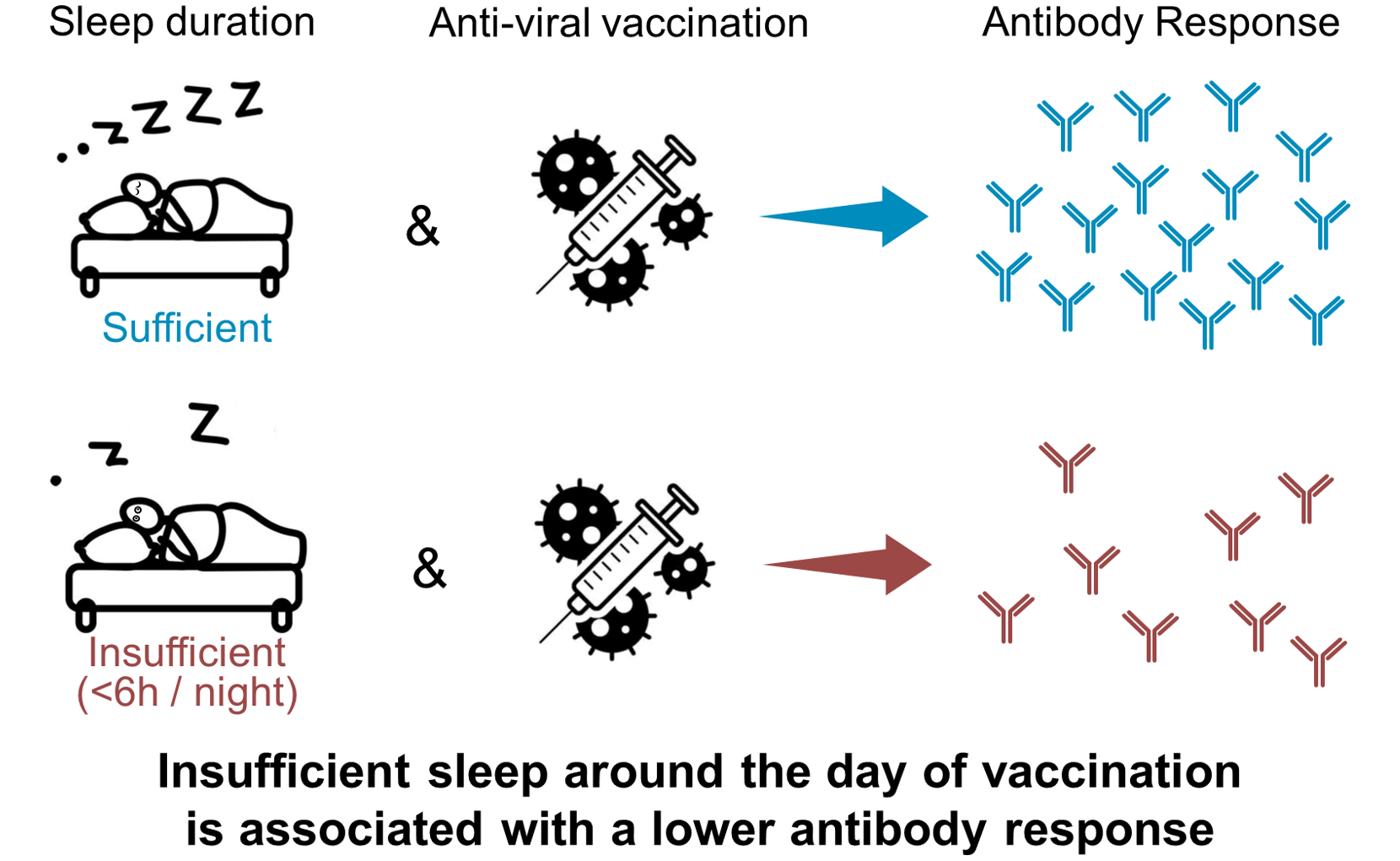 Sleep and Vaccination: The Critical Connection You Need to Know About