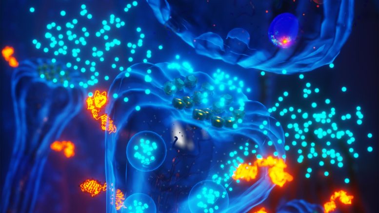 Sweet Memories: Sugars Affect Brain “Plasticity” Helping With Learning ...