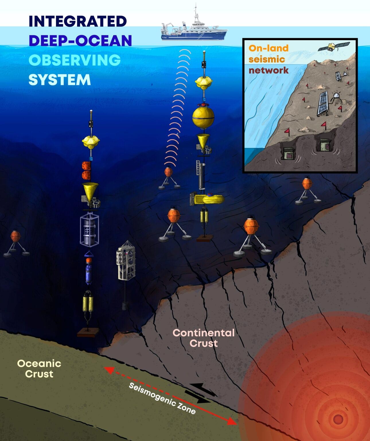 Darkness Revealed: Fierce Predator Emerges From Earth’s Deepest Waters
