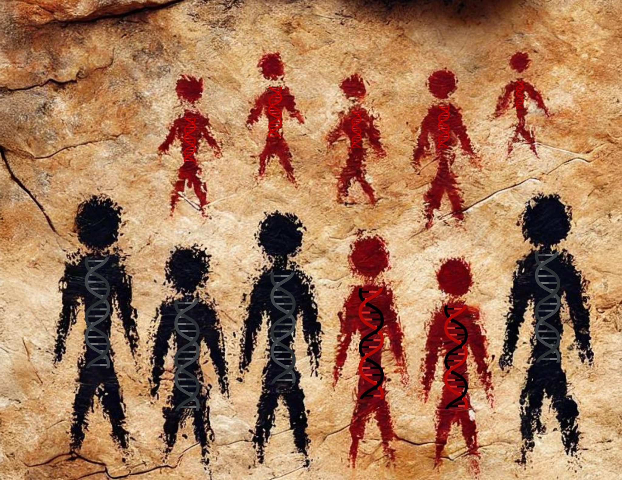 Unveiled by Ancient DNA: The True Timeline of Human-Neanderthal ...