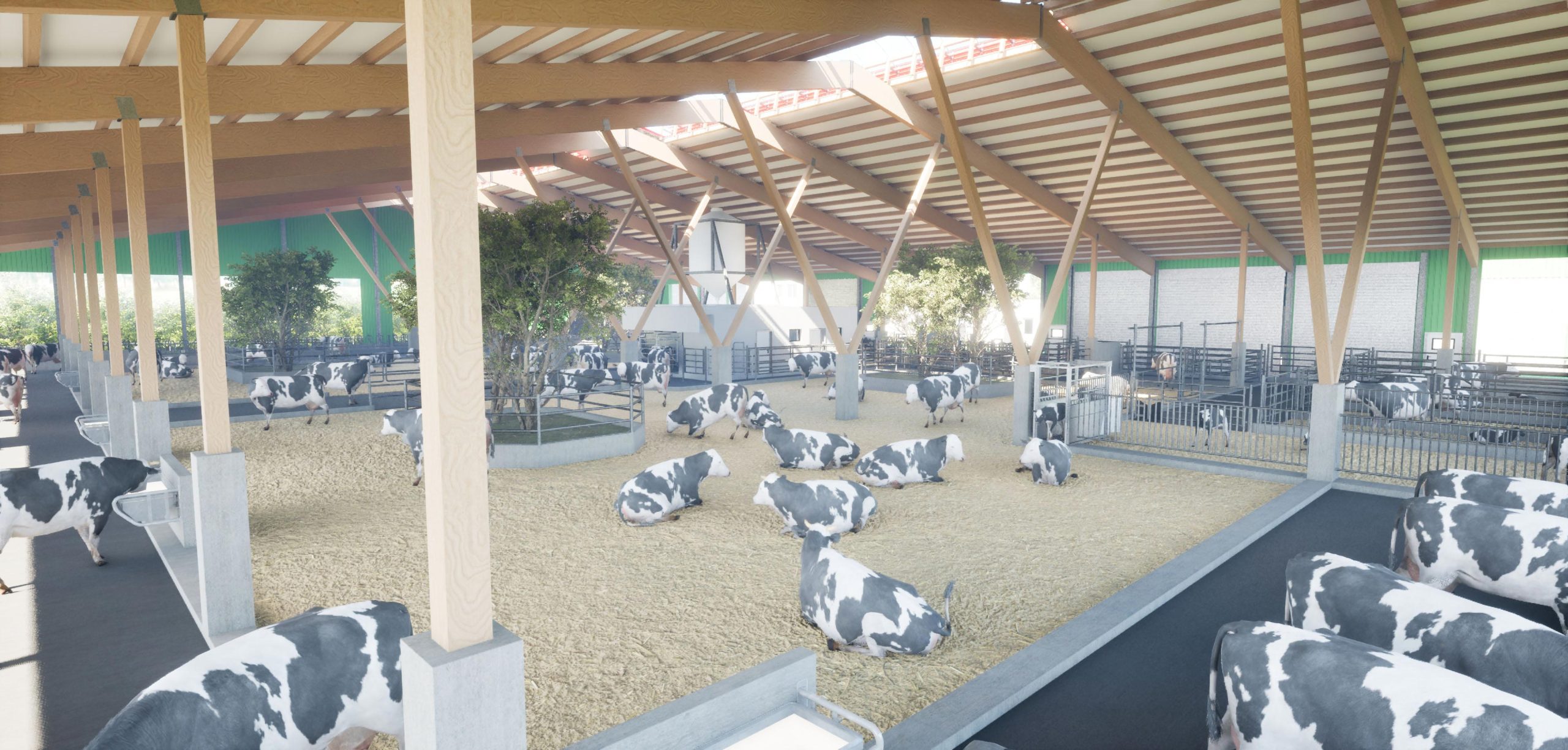 Groundbreaking “Dairy Farm of the Future” Provides Cows the Freedom of ...