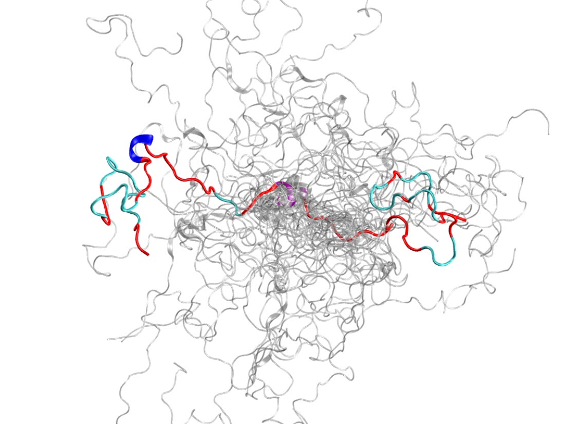 Using a Supercomputer and Neutrons to Reveal Structures of ...