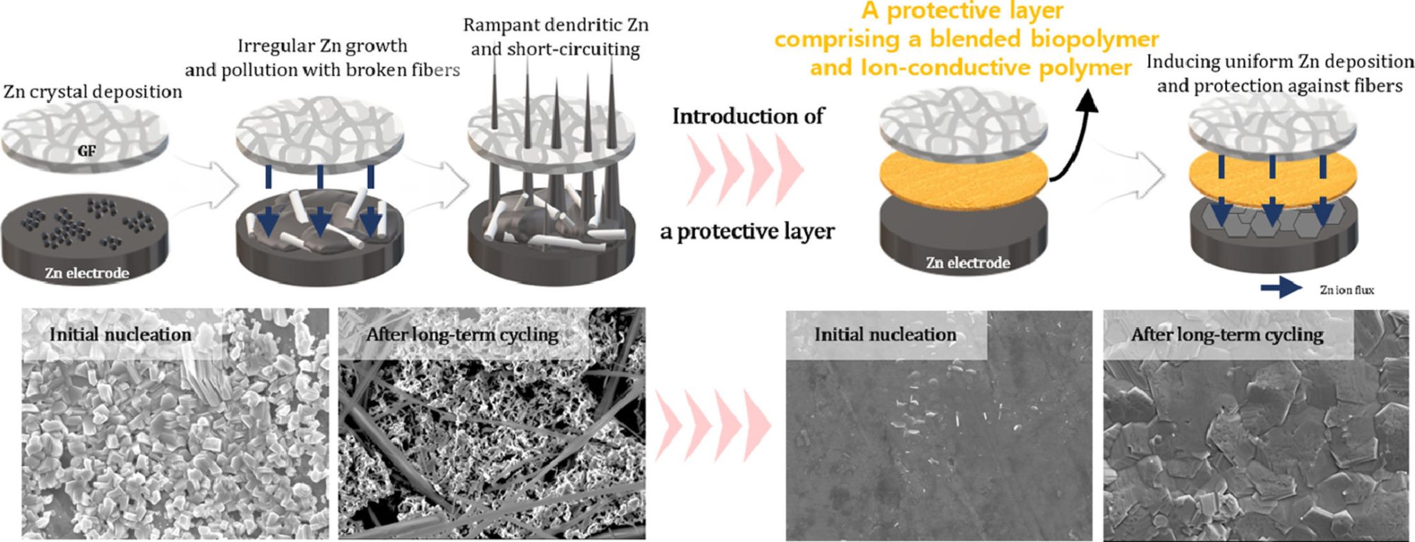 Scientists Use Cosmetic Ingredient To Transform Battery Protection