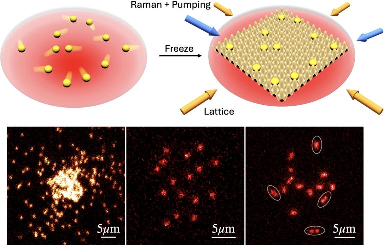 MIT Snaps Stunning First Photos of Atoms Interacting in Open Space
