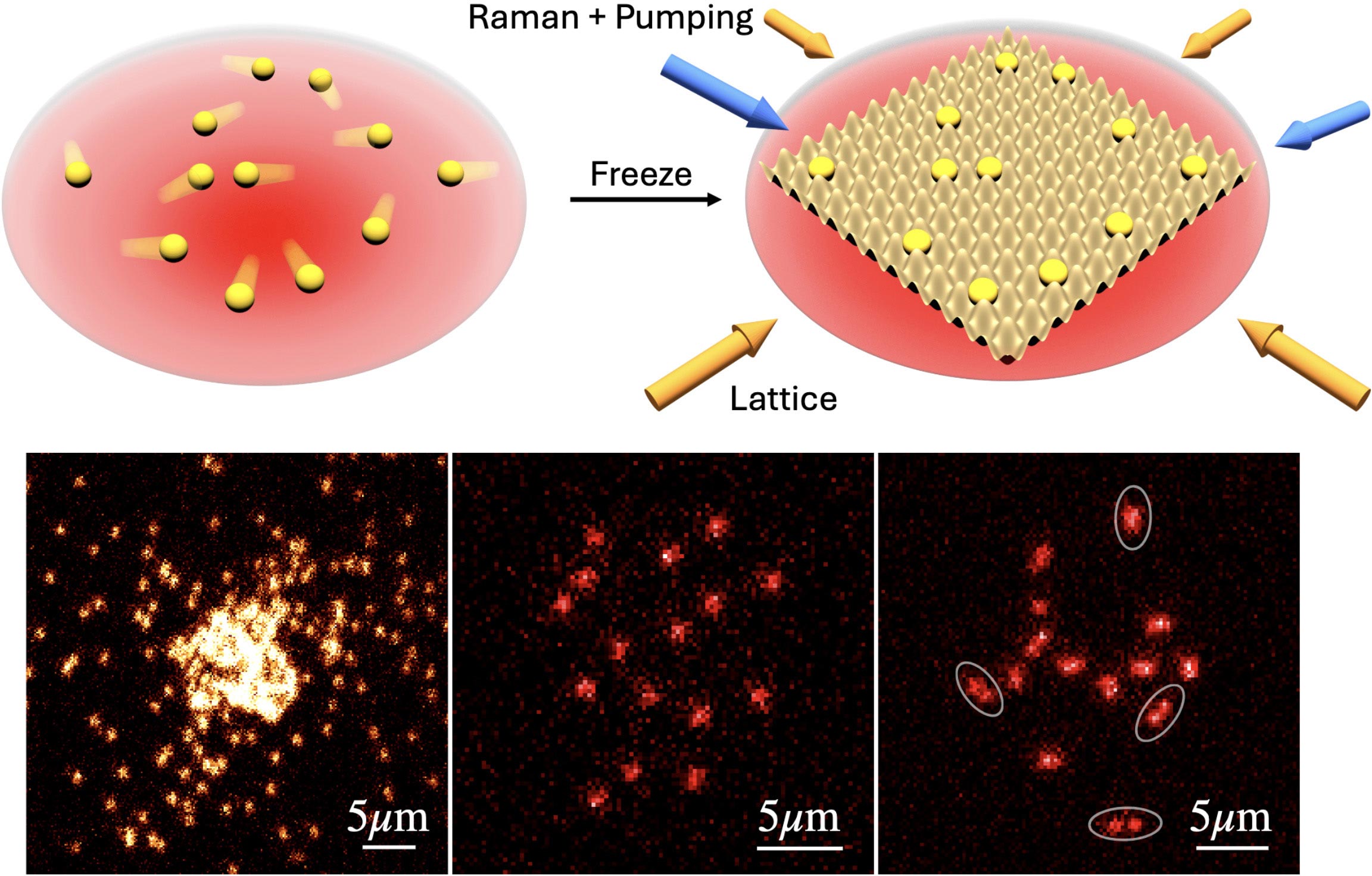 MIT Snaps Stunning First Photos of Atoms Interacting in Open Space