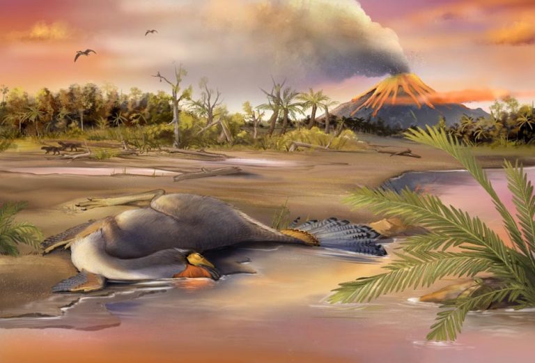 Potential Remnants of Original Dinosaur DNA Discovered in Exquisitely ...