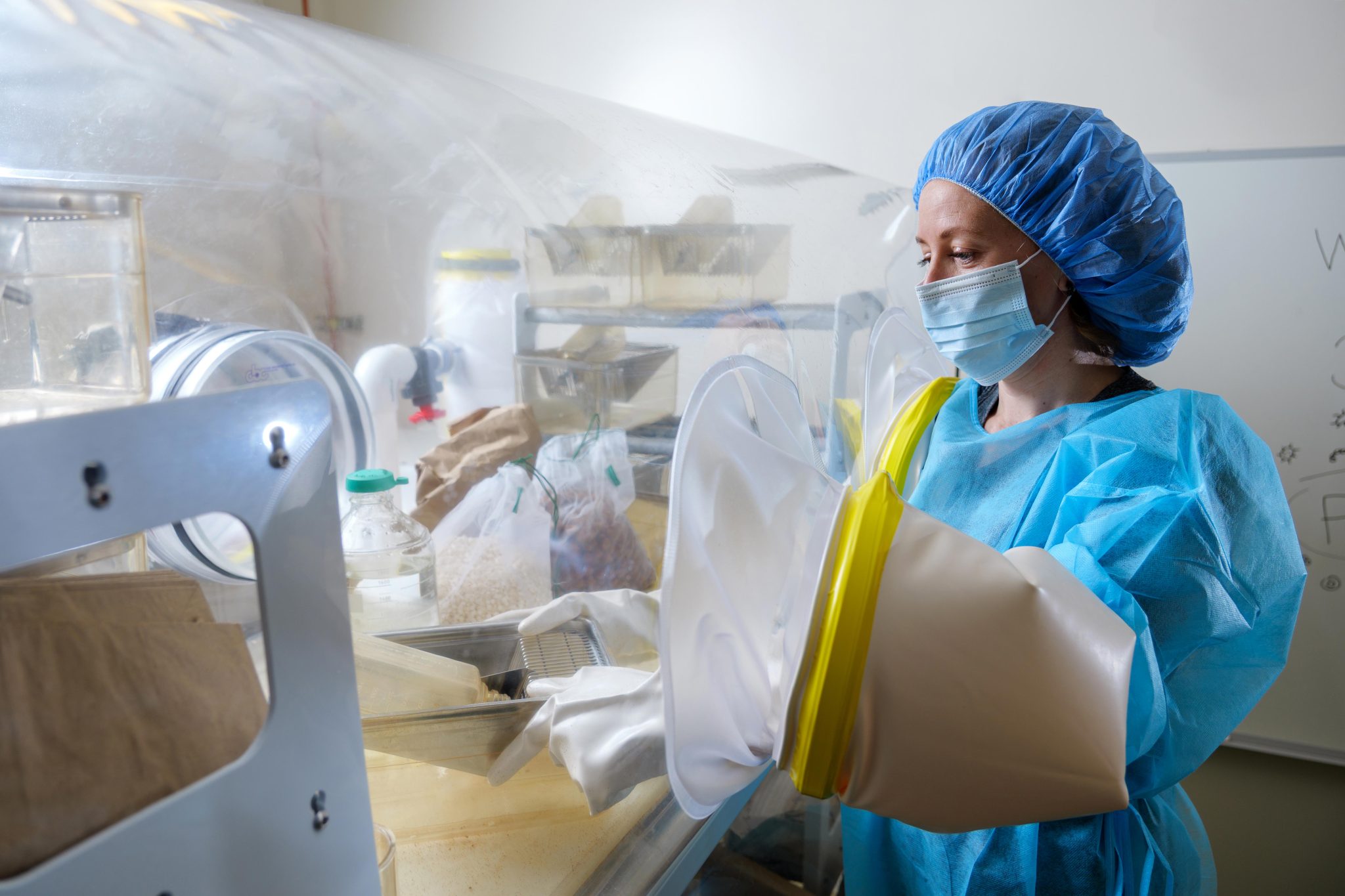 Scientists Warn: Popular Infant Medicine Could Trigger Diabetes Later ...