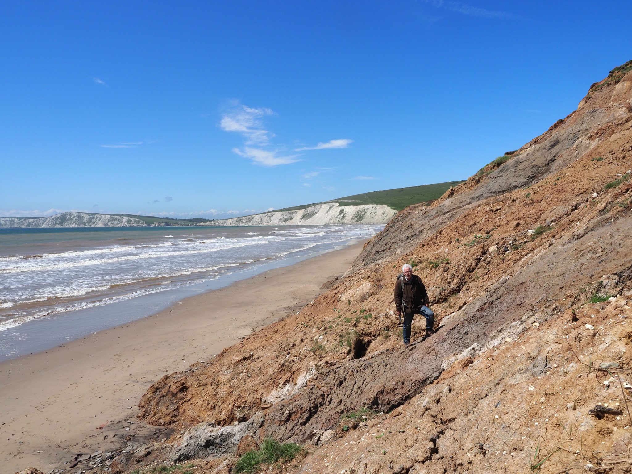Amazing Discovery: Fossil Collector Unearths the Most Complete Dinosaur ...