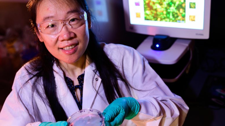 Biomedical Engineering News - SciTechDaily