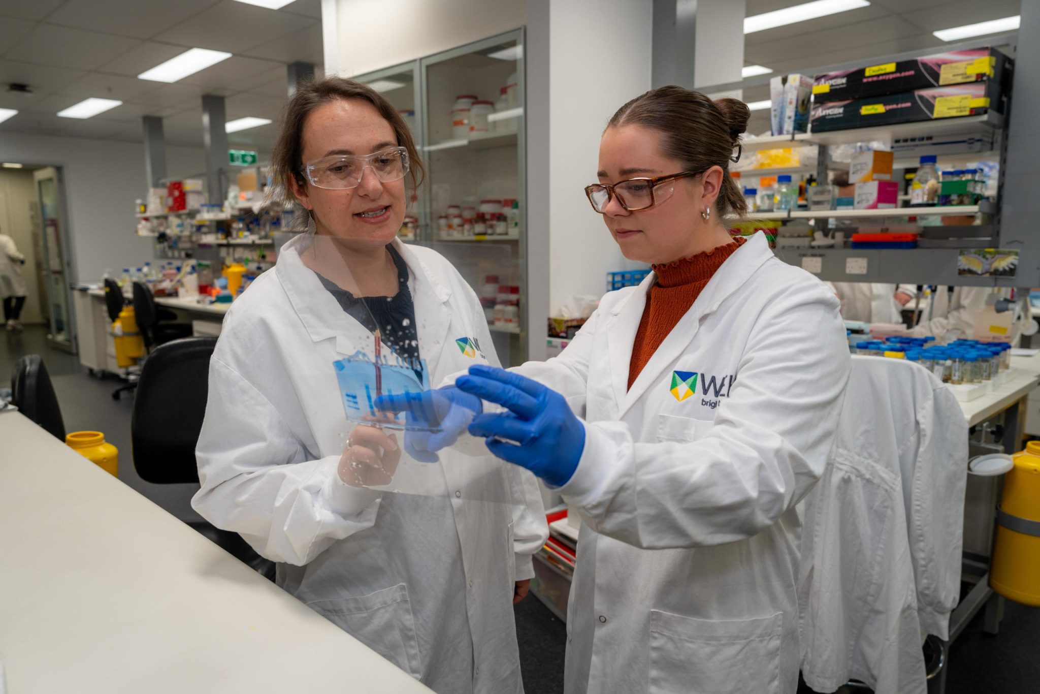 “Explosive” Cell Death – Scientists Discover Genetic Trigger in 3% of ...