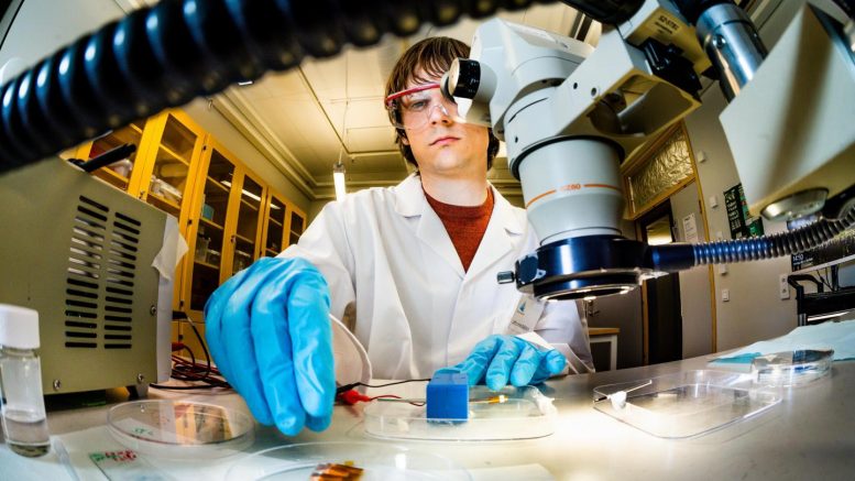 MIT Develops Integrated Lightwave Electronic Circuits