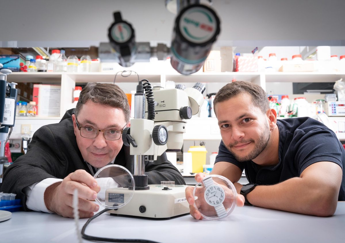 Your Gut Bacteria Could Be the Missing Link to Stress Relief