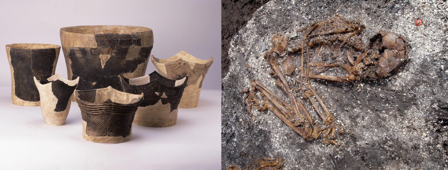 Ancient DNA Extracted From Human Bones Rewrites Early Japanese History ...