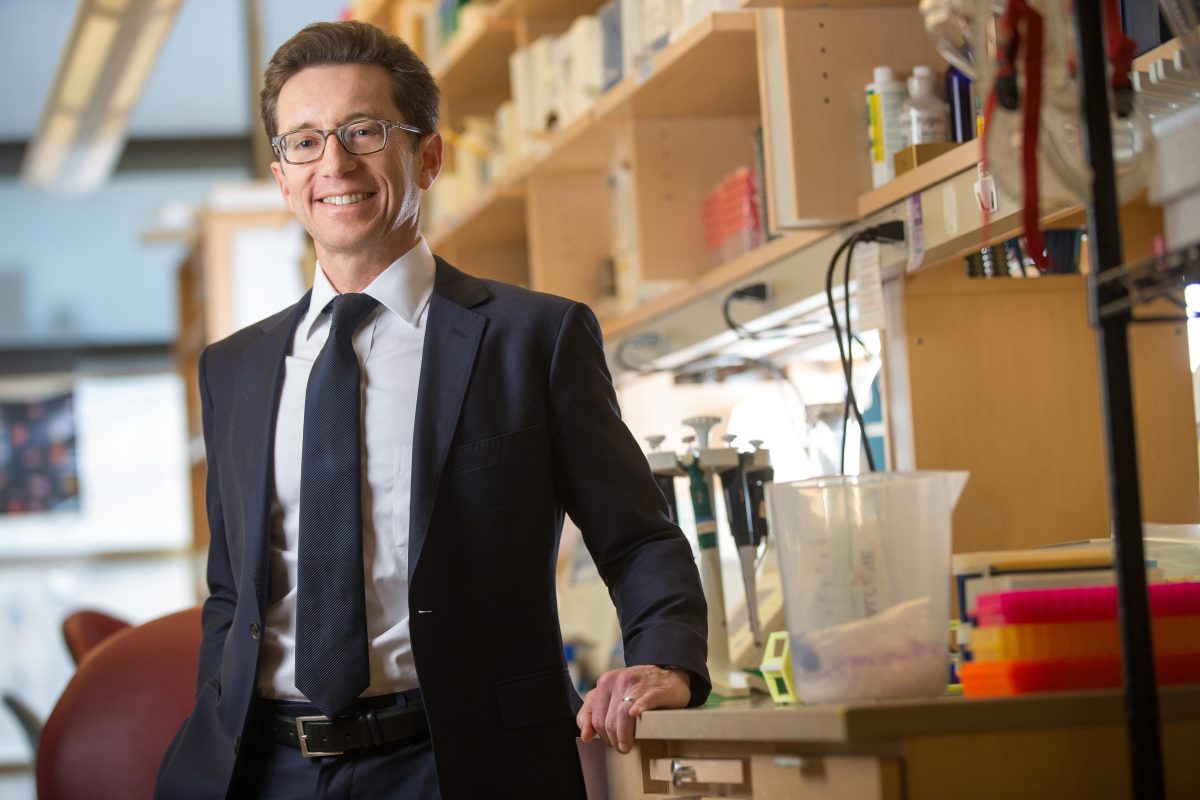 New Drug Stops Weight Gain and Lowers Cholesterol by Targeting Nitric Oxide
