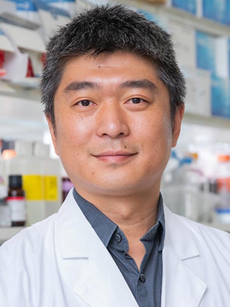Scientists Strip Cells of Mysterious Organelles To Reveal Hidden Secrets