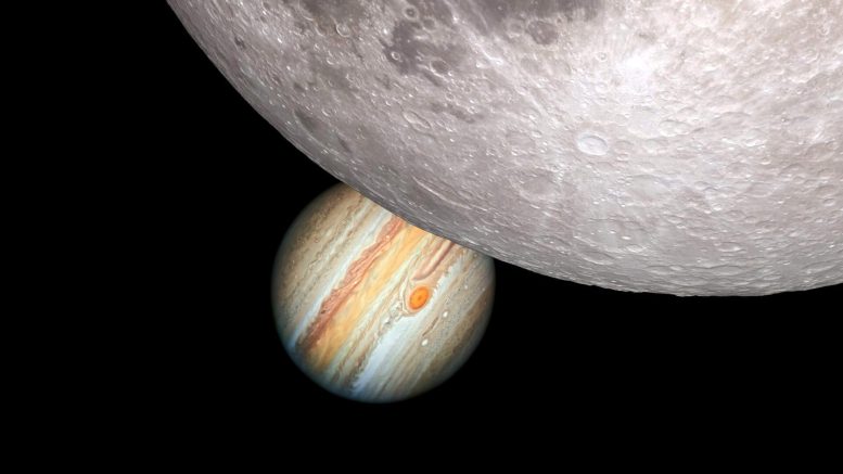 How the Anatomical Structure of the Brain Impacts Its Functioning