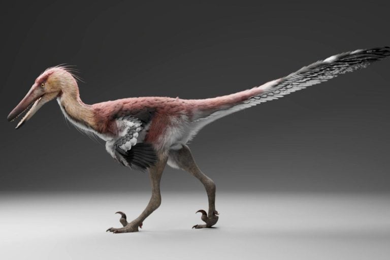 This Dinosaur Had the Claws of a Raptor but Hunted Like a Heron