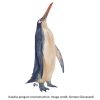 Remarkable Fossil of Extinct Giant Penguin Species Discovered in New ...