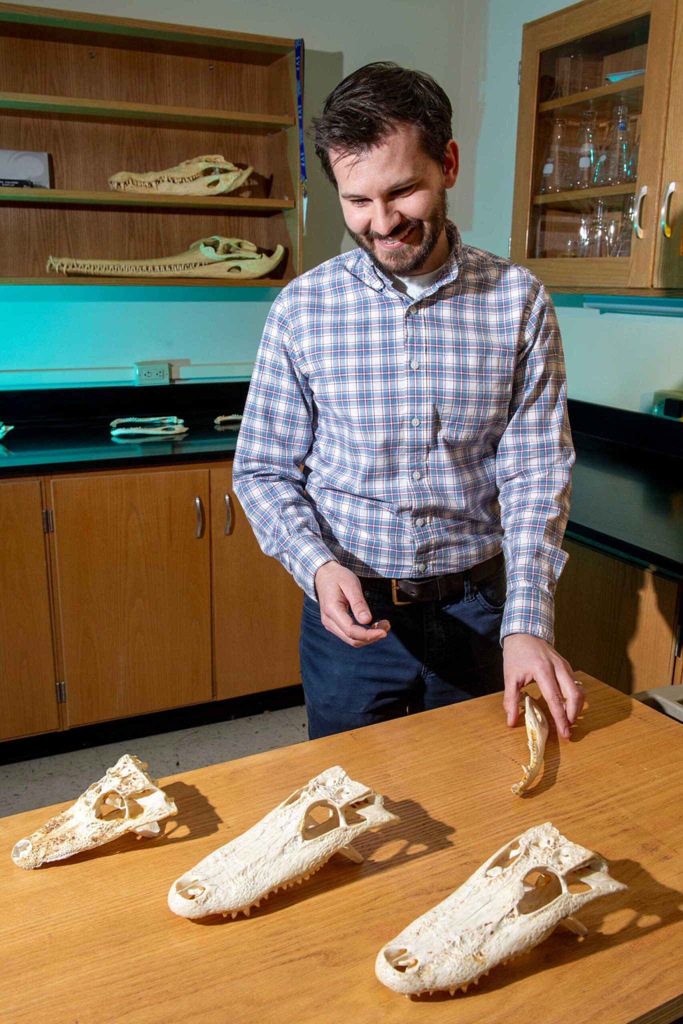 Living Fossils? How Crocodiles Survived What Dinosaurs Couldn’t