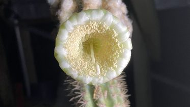 Latest Biology News & Discoveries: Cutting-Edge Research in Life ...