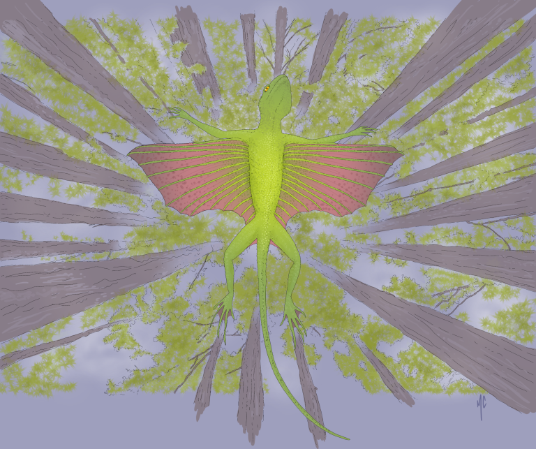 Remarkable Find: Student Discovers 200-Million-Year-Old Flying Reptile