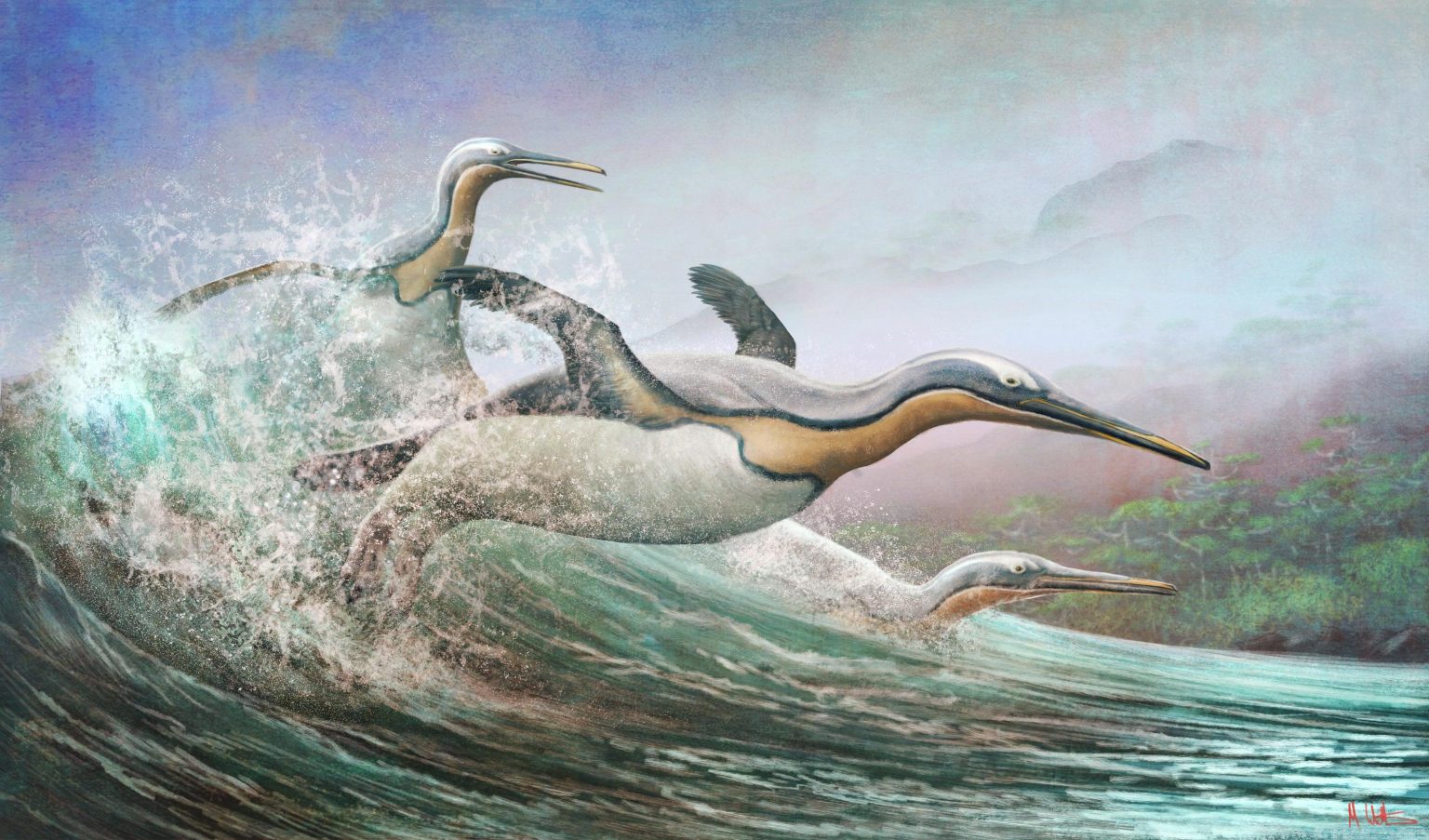 New Zealand’s Ancient Monster Penguins Had Doppelgangers in Japan, the ...