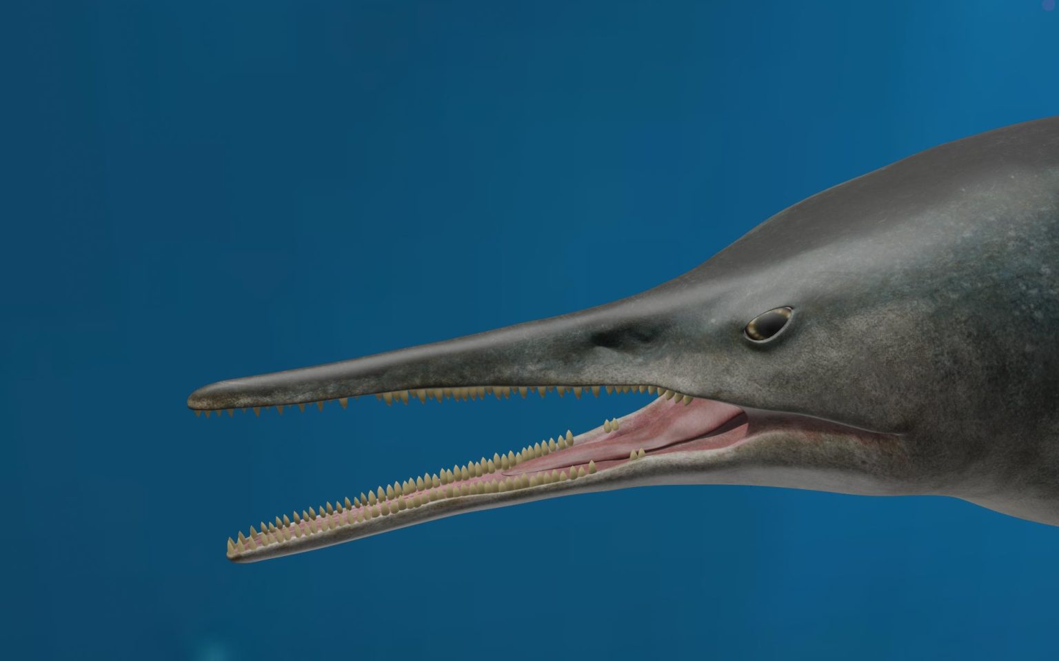 Kyhytysuka: 130-Million-Year-Old Hypercarnivore “Fish Lizard” Discovered