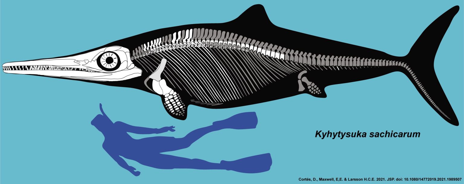 Kyhytysuka: 130-Million-Year-Old Hypercarnivore “Fish Lizard” Discovered