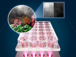 New Light-Based Therapy Kills 92% of Skin Cancer Cells Without Harming ...