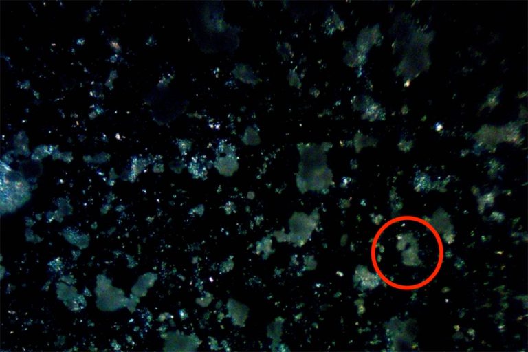 How Everyday Plastics Quietly Turn Into DNA-Damaging Nanoparticles