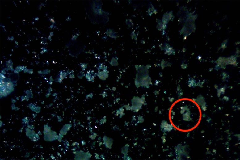 How Everyday Plastics Quietly Turn Into DNA-Damaging Nanoparticles