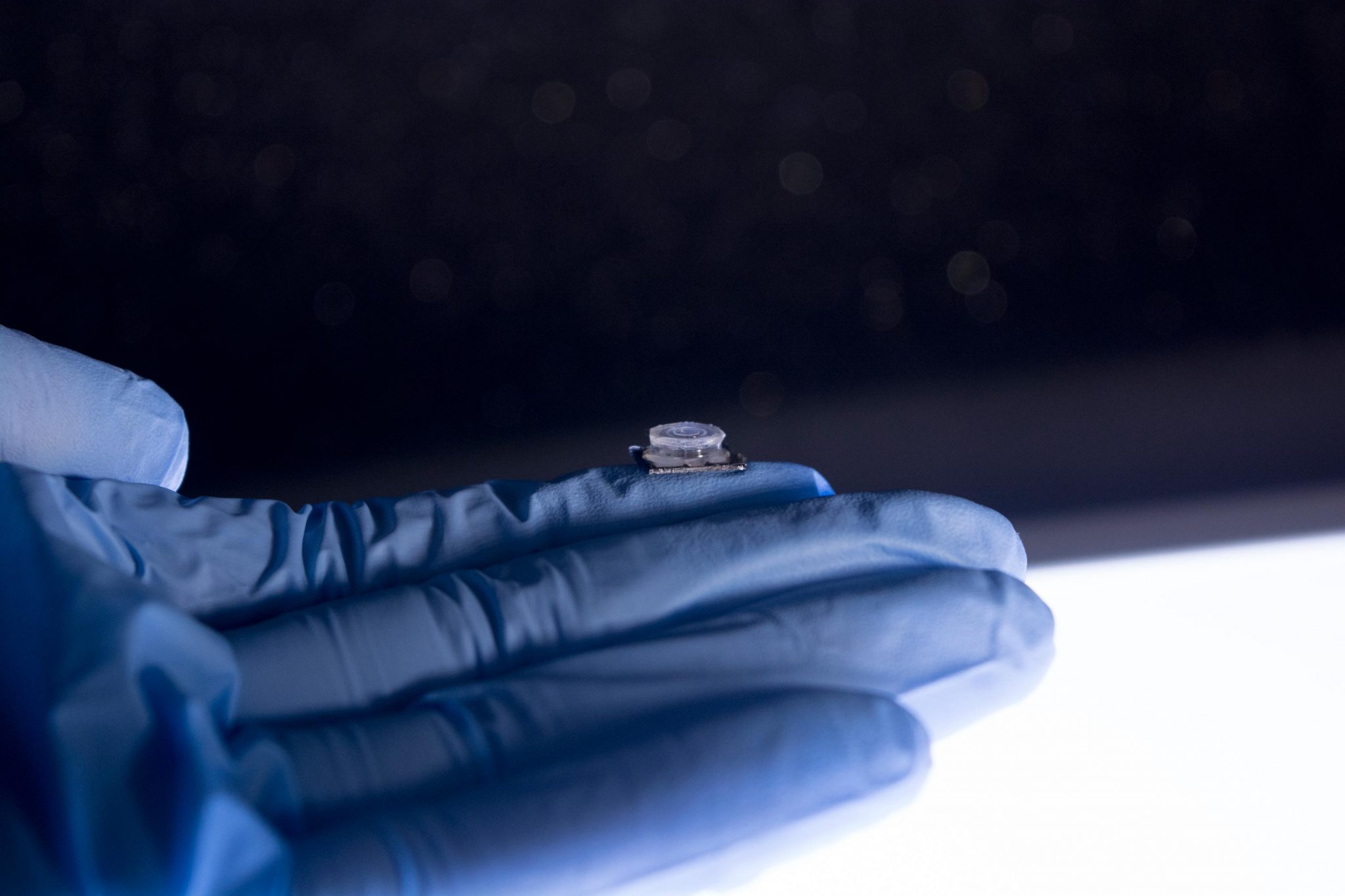New Lab-on-a-Chip Could Enable Fast, Easy Testing for Colds, Flu, UTIs ...