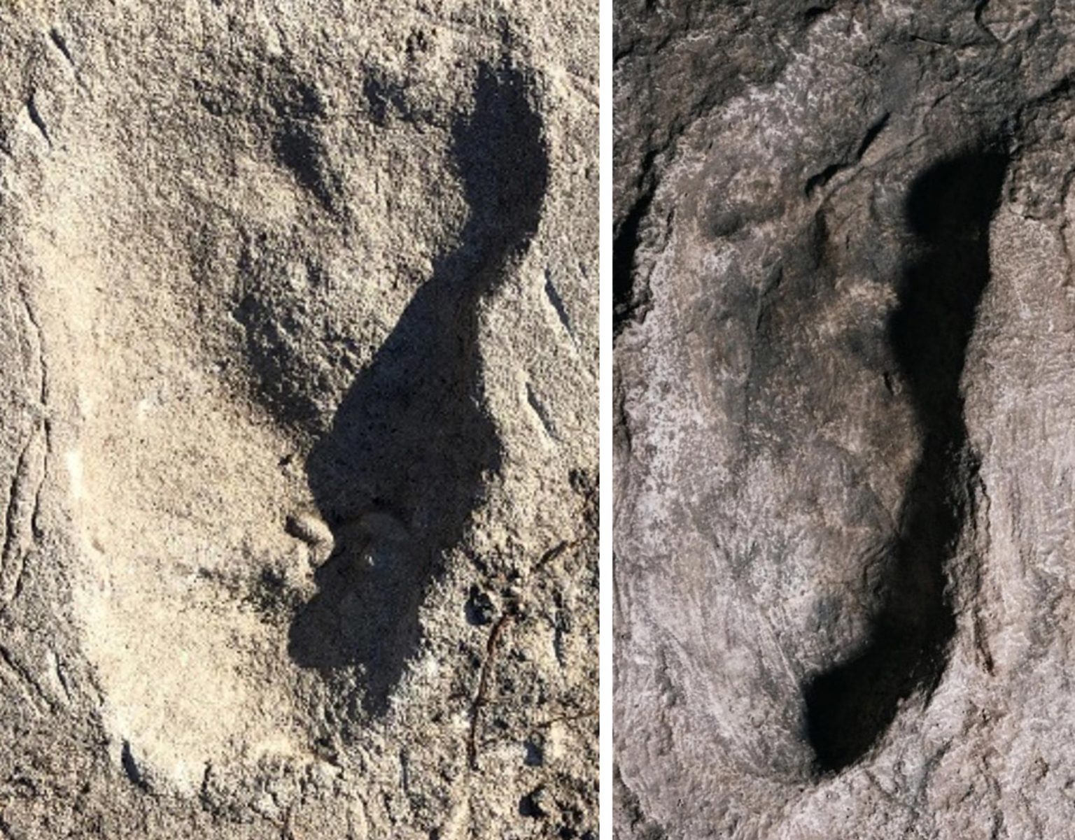 Archaeology Mystery Solved: Strange Footprints From Laetoli, Tanzania ...