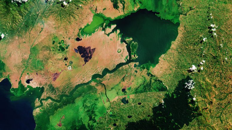 Incredible Views of Utah's Great Salt Lake From Space