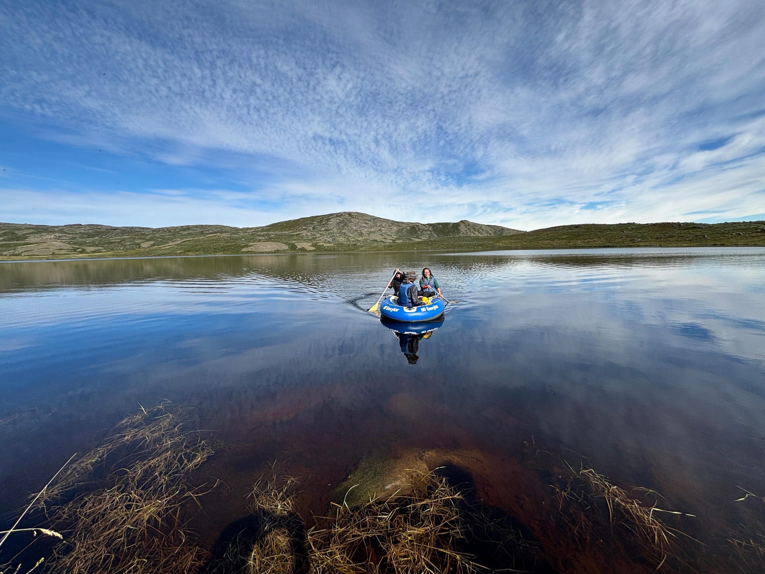 Thousands of Greenland’s Blue Lakes Turn Brown Overnight As Extreme ...