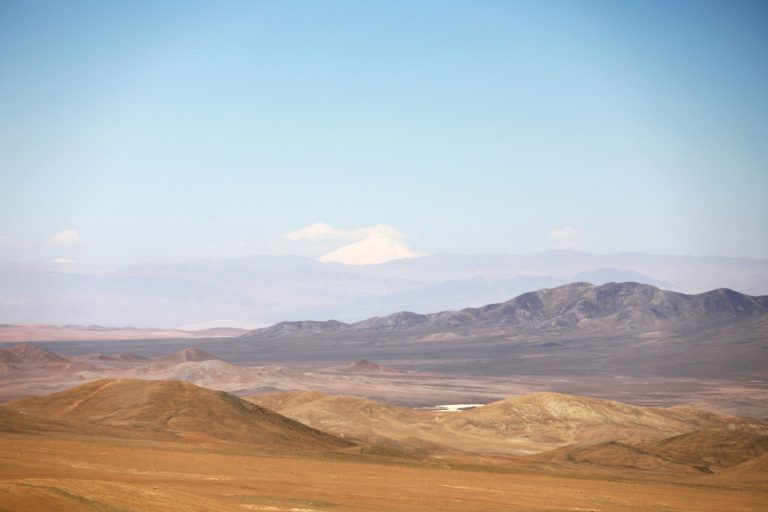 Hidden Life in the World’s Driest Desert Defies All Expectations