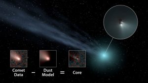 NEOWISE Reveals Size Distributions of Comet Populations