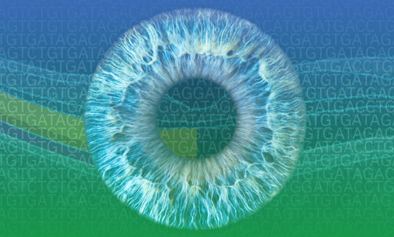 Researchers Uncover New Insight Into Rare Eye Disorders
