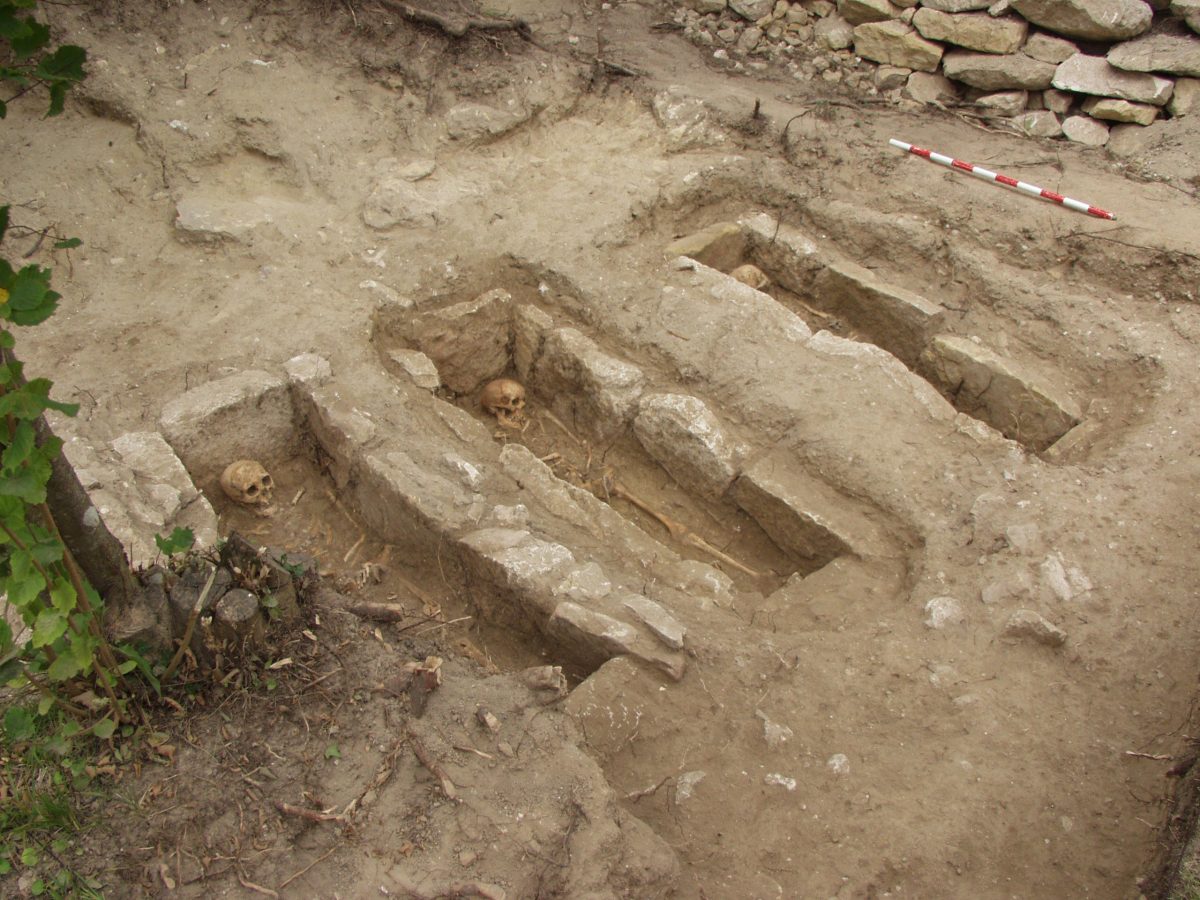 New Light on Old Bones: Scientists Solve Archaeogenetic Puzzle of Las Gobas