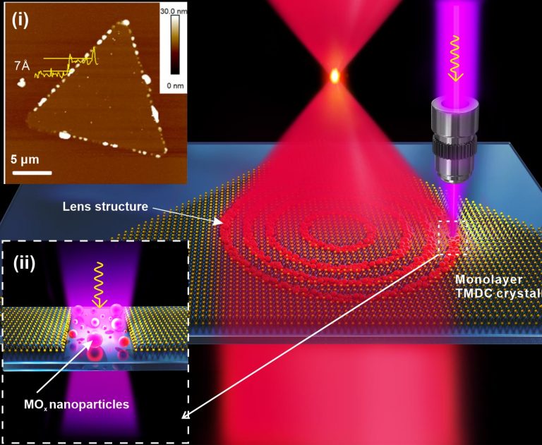 Ultrathin Flat Lenses for High Resolution Imaging Using Monolayer ...