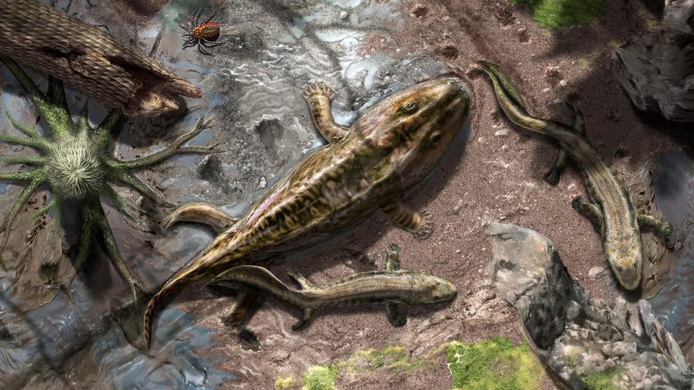 Harvard Scientists Reconstruct the Game-Changing Evolution From Fin-to ...