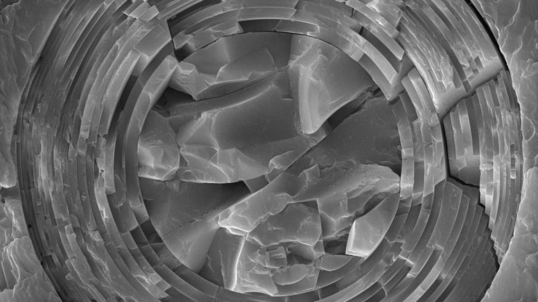 Astronomers Uncover Origins of the Sun’s Swirling Spicules