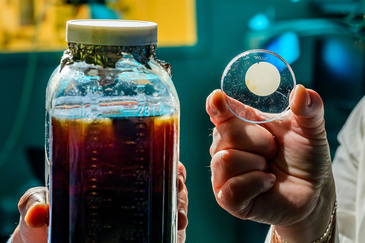 Study Exposes the Endless Loop of Microplastic and Forever Chemical ...