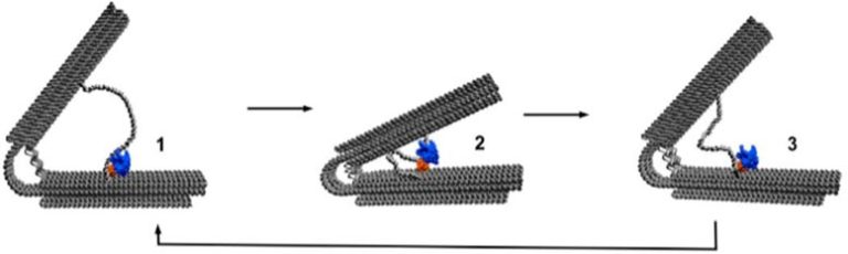 DNA Nano Engine: The Revolutionary Power Behind Tomorrow’s Nanomachines