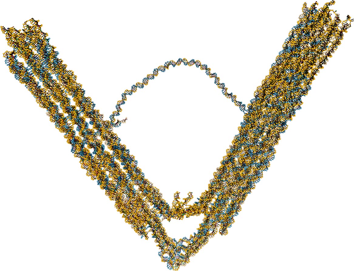 DNA Nano Engine: The Revolutionary Power Behind Tomorrow’s Nanomachines