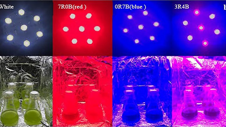 Chemistry News, Research Breakthroughs & Discoveries - Page 27 of 57 ...