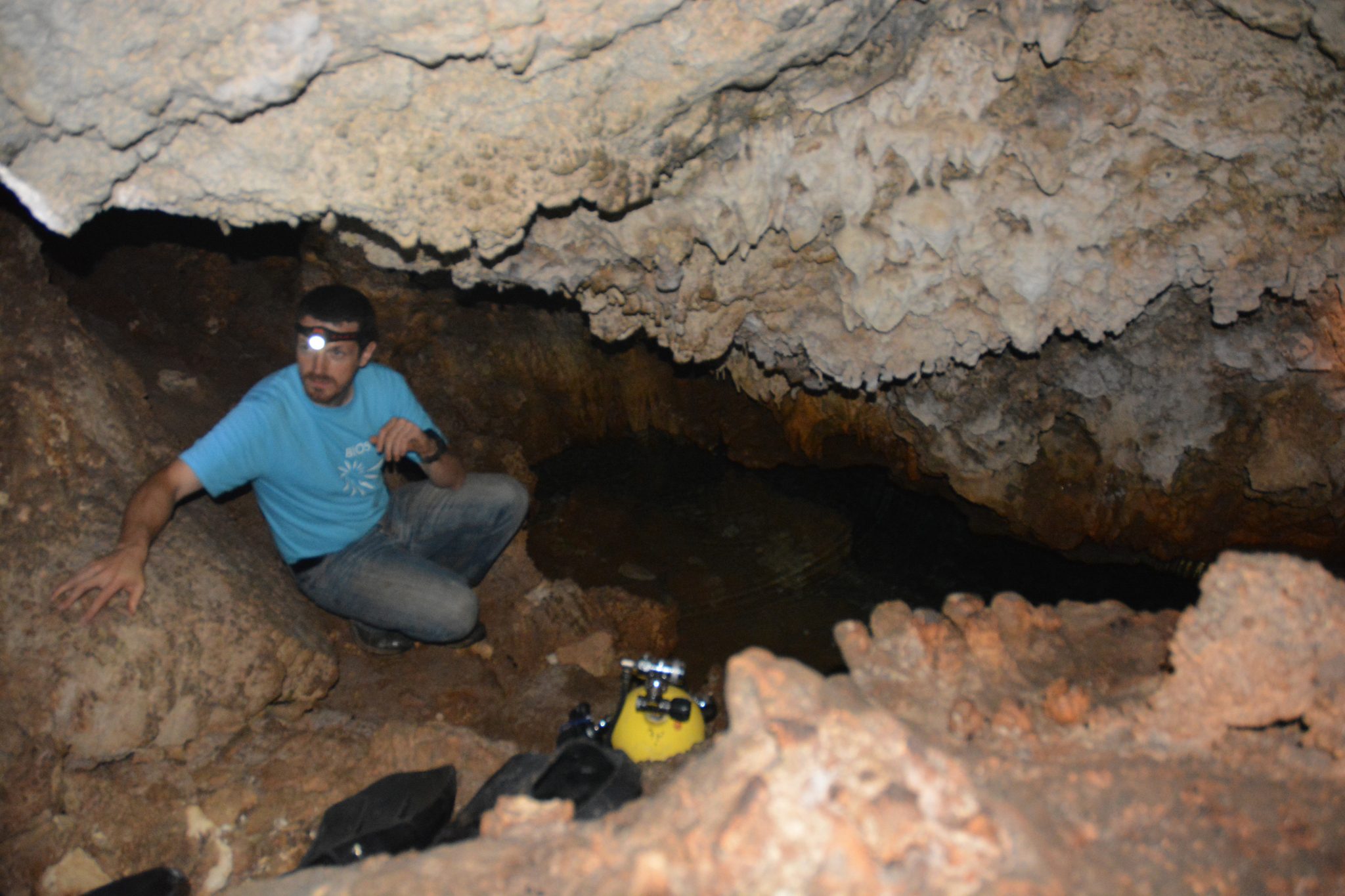 Scientists Discover Mysterious New Species of Crustacean in Underground ...